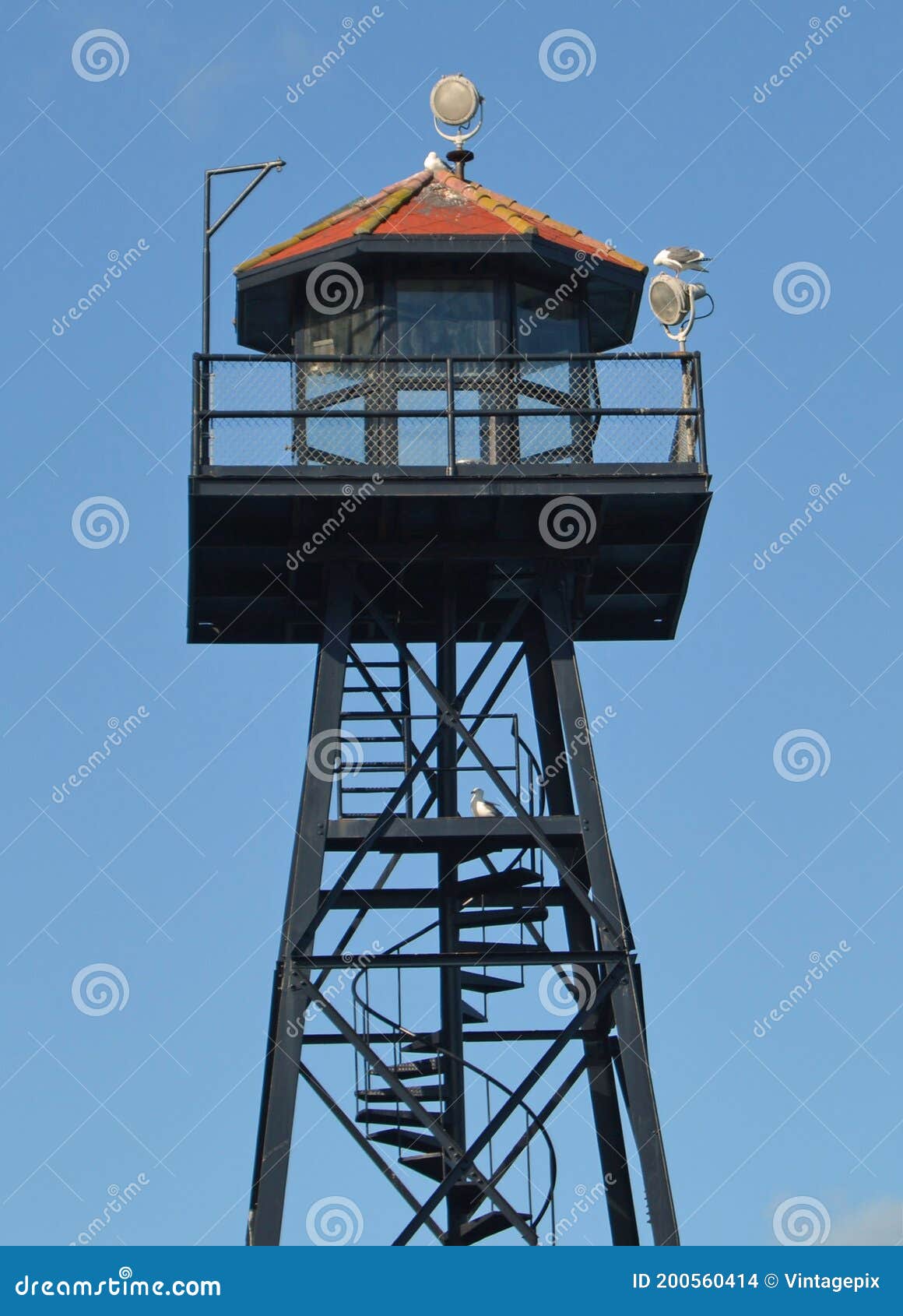 Royalty Free Images, Cartoons, Illustrations And Photos Designed By ...