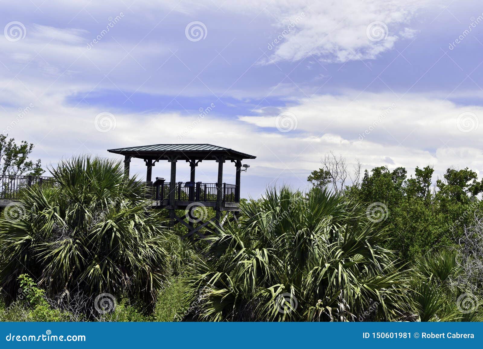 Observation Tower at a Wildlife Refuge Stock Image - Image of tourist ...