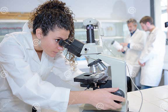 Observation Under the Microscope Stock Image - Image of experimentalist ...