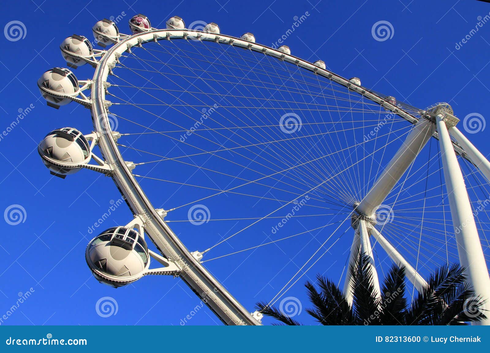 Observation Wheel stock photo. Image of nature, capsule - 82313600