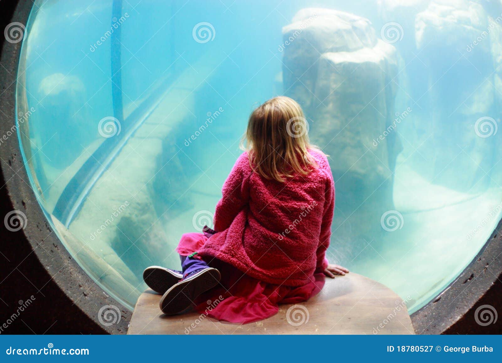 Observer stock image. Image of blue, female, observing - 18780527