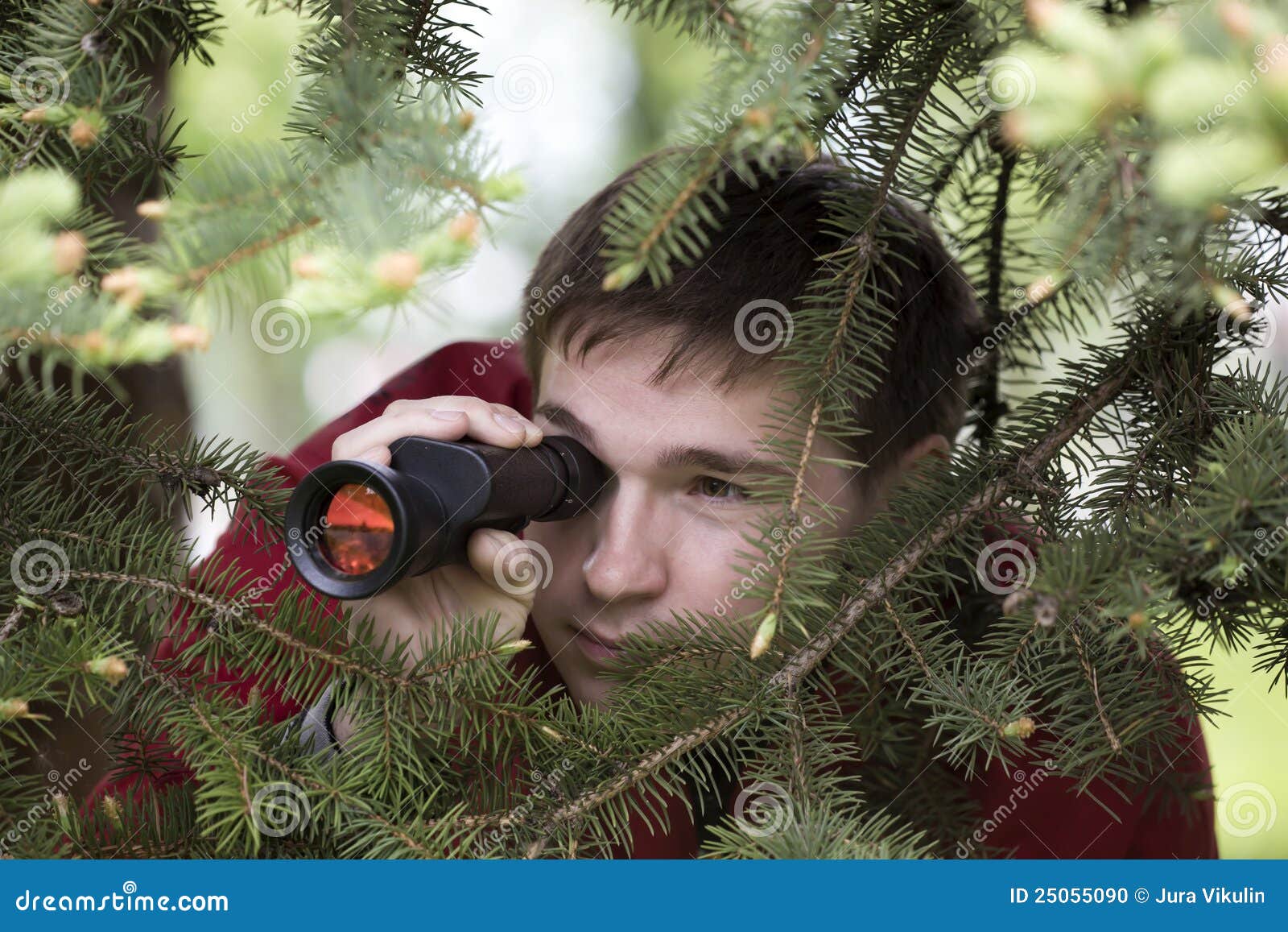 The observer stock photo. Image of observes, wood, ambush - 25055090