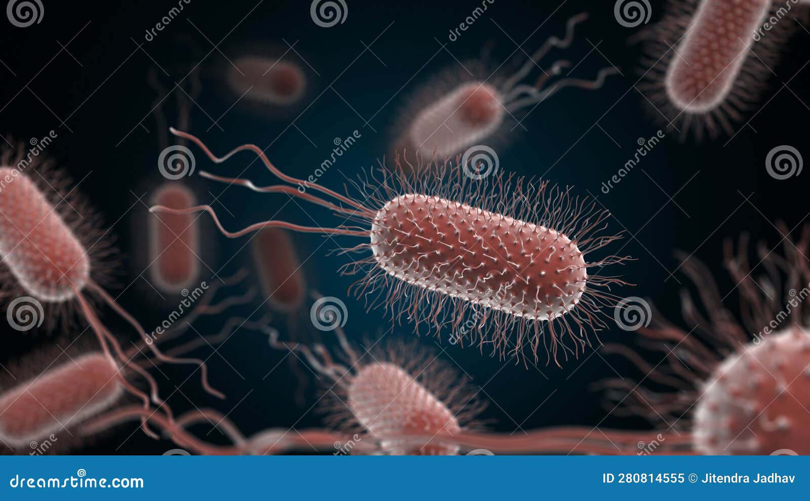 Morphology Of Microorganisms. Cocci Vector Illustration | CartoonDealer ...