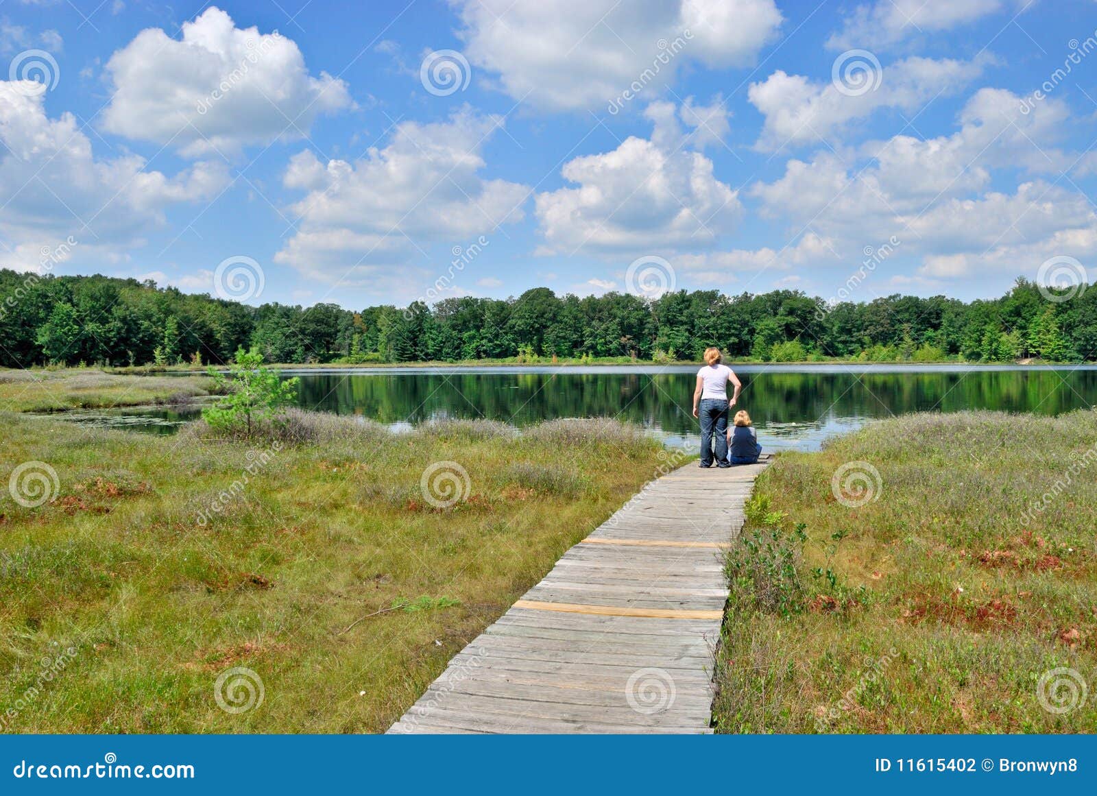 3,926 Swamp Bog Walk Stock Photos - Free & Royalty-Free Stock Photos ...