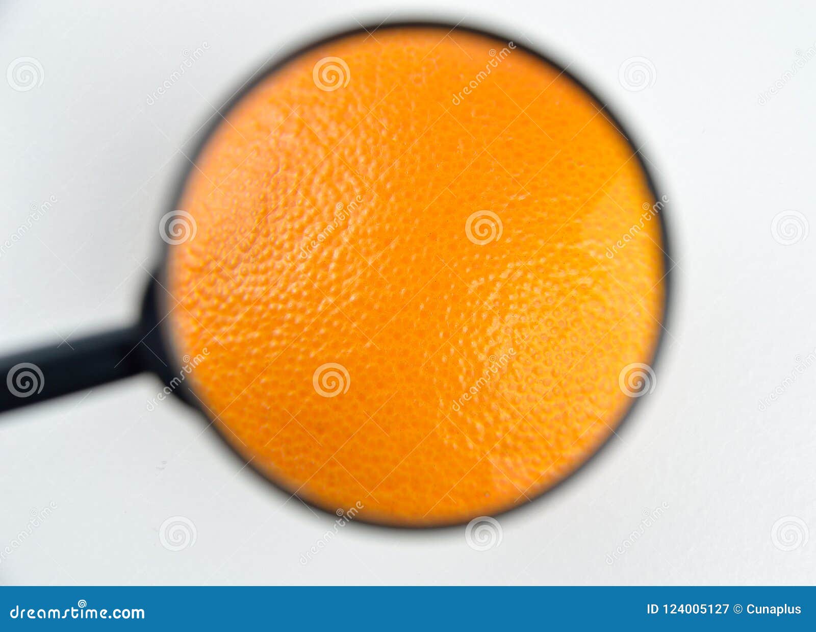 Observing the orange stock image. Image of inspect, healthy - 124005127