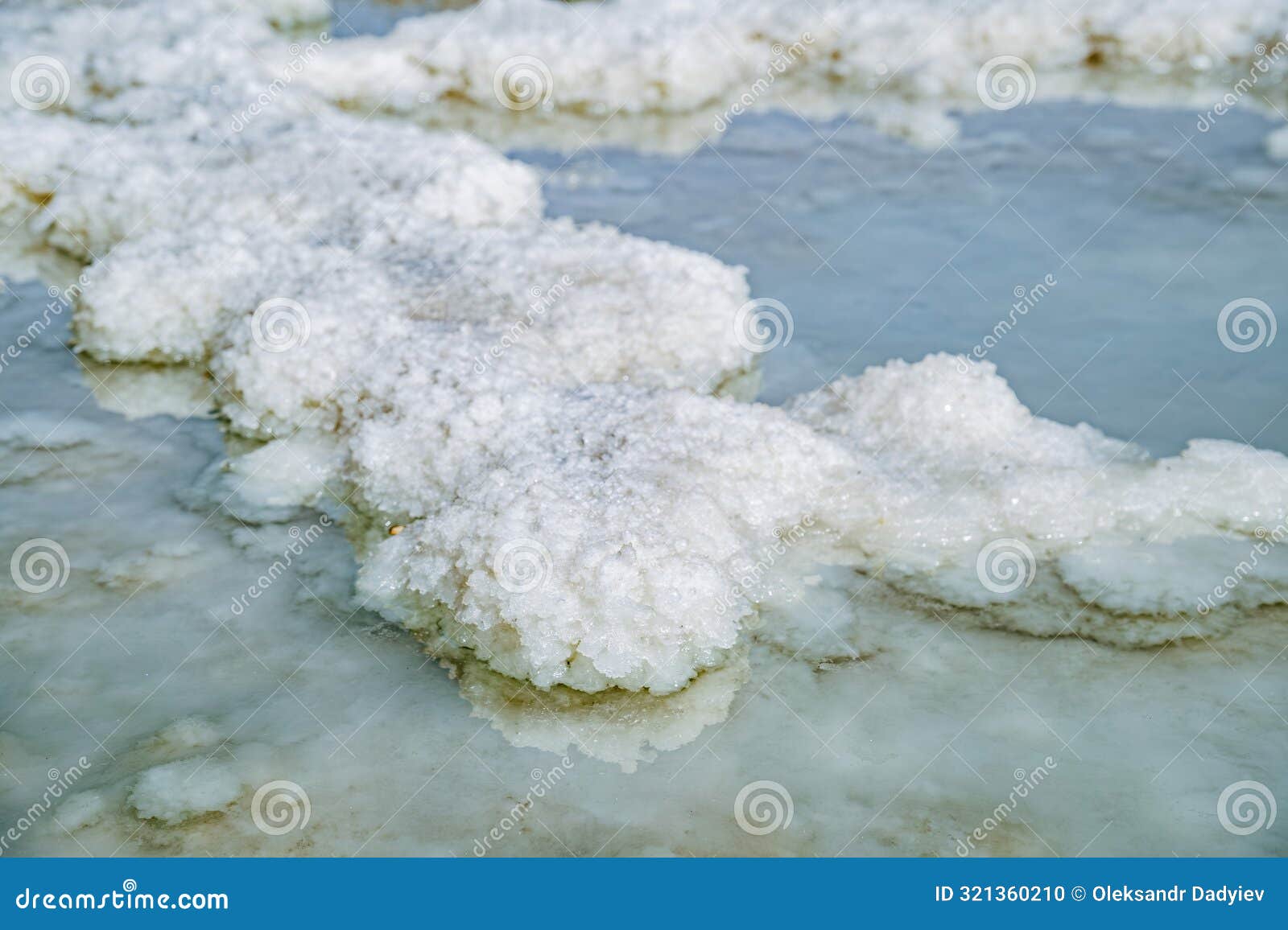 Observing Salt Formation in Water is Fascinating, with Crystals and ...