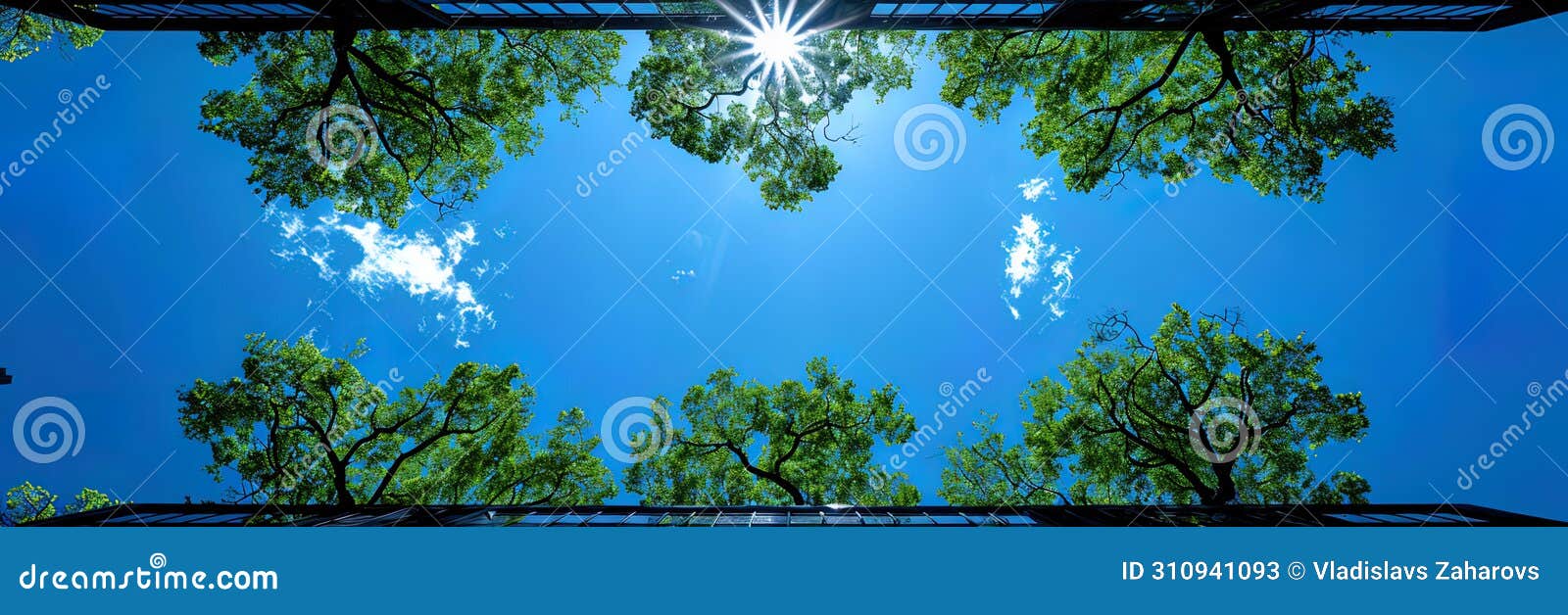 Observing The Sky From Under A Canopy Of Trees Royalty-Free Stock Photo ...