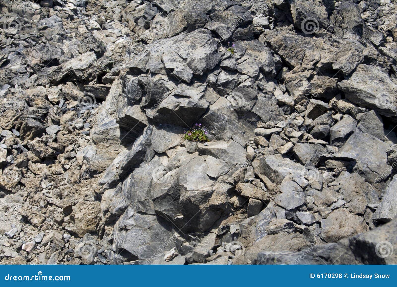 Obsidian stock photo. Image of rock, science, backgrounds - 6170298