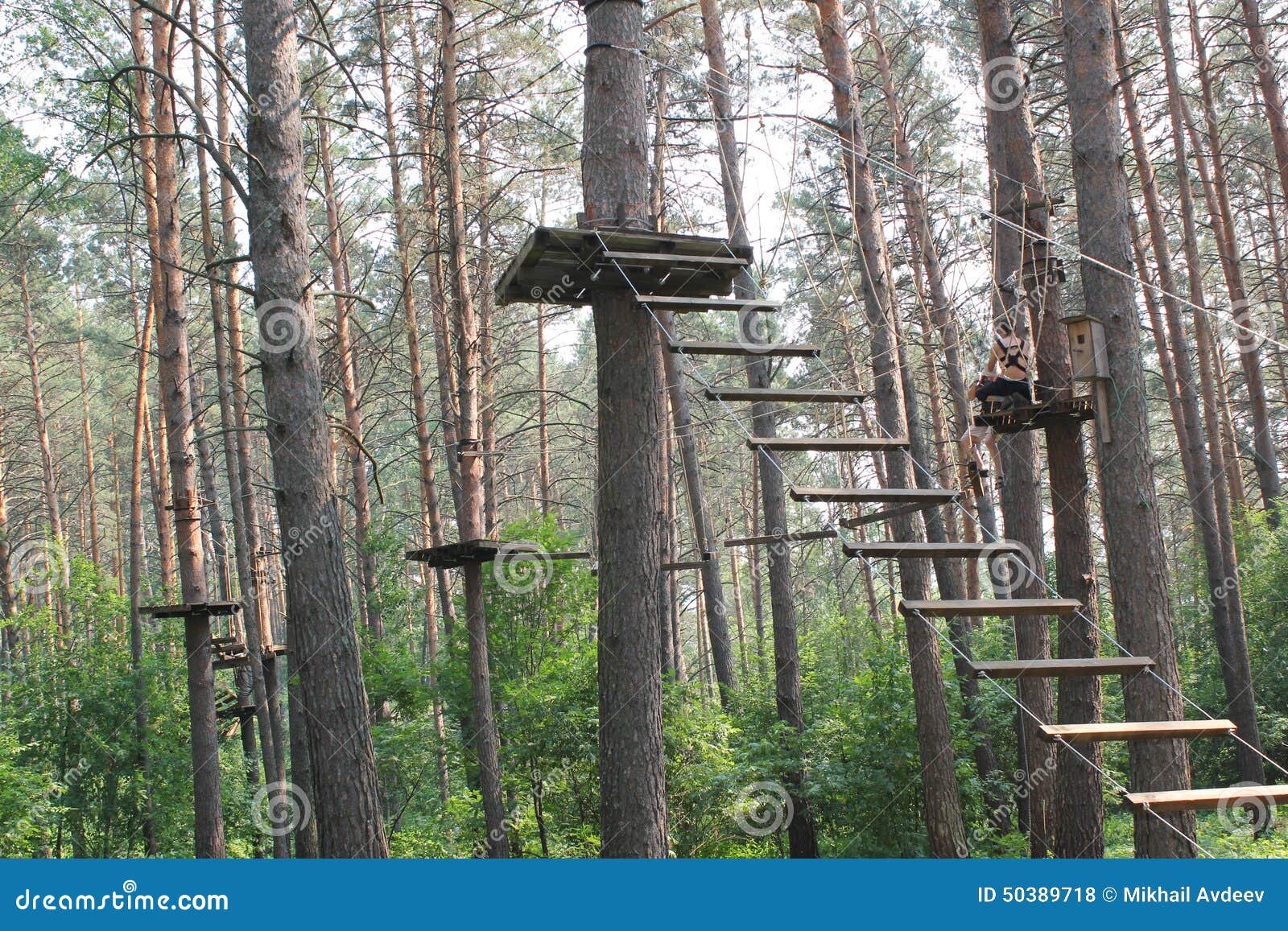 Obstacle course stock photo. Image of courage, empowerment - 50389718