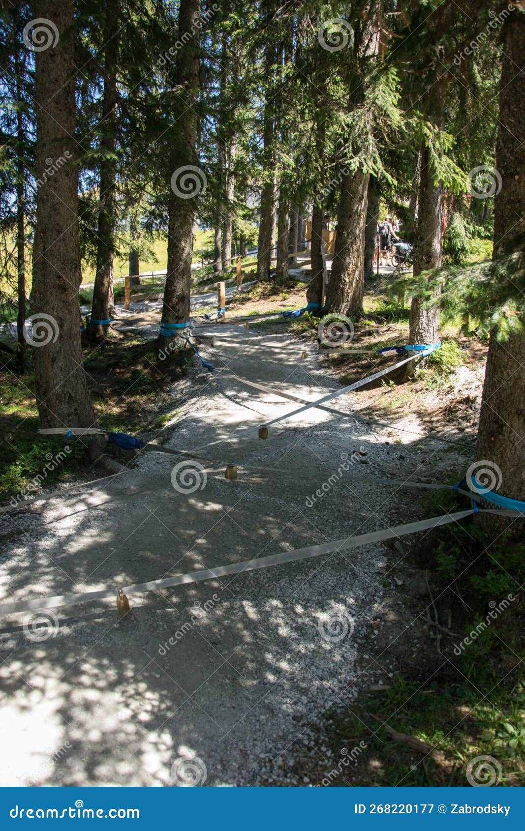 Obstacle Course for Children in the Forest in the Austrian Alps. Stock ...