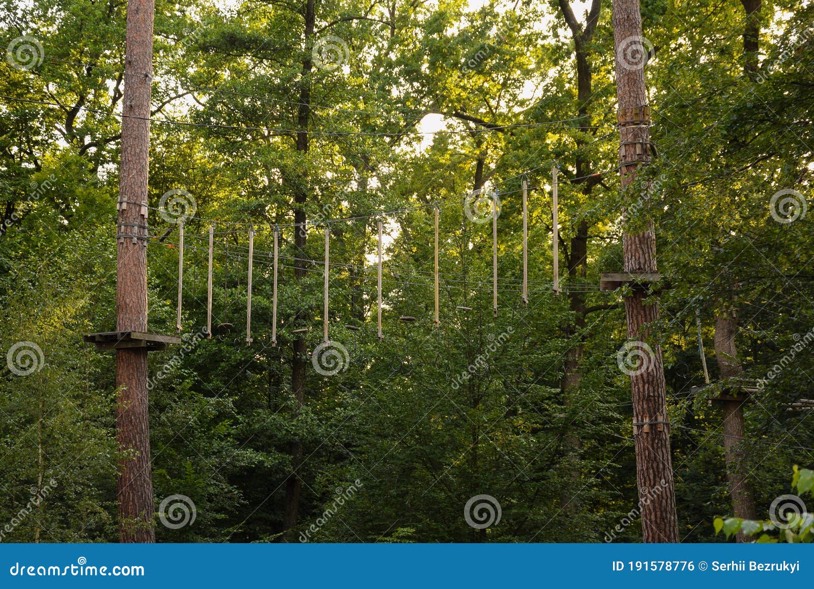 Obstacle Course High in the Trees in the Rope Park Stock Photo - Image ...