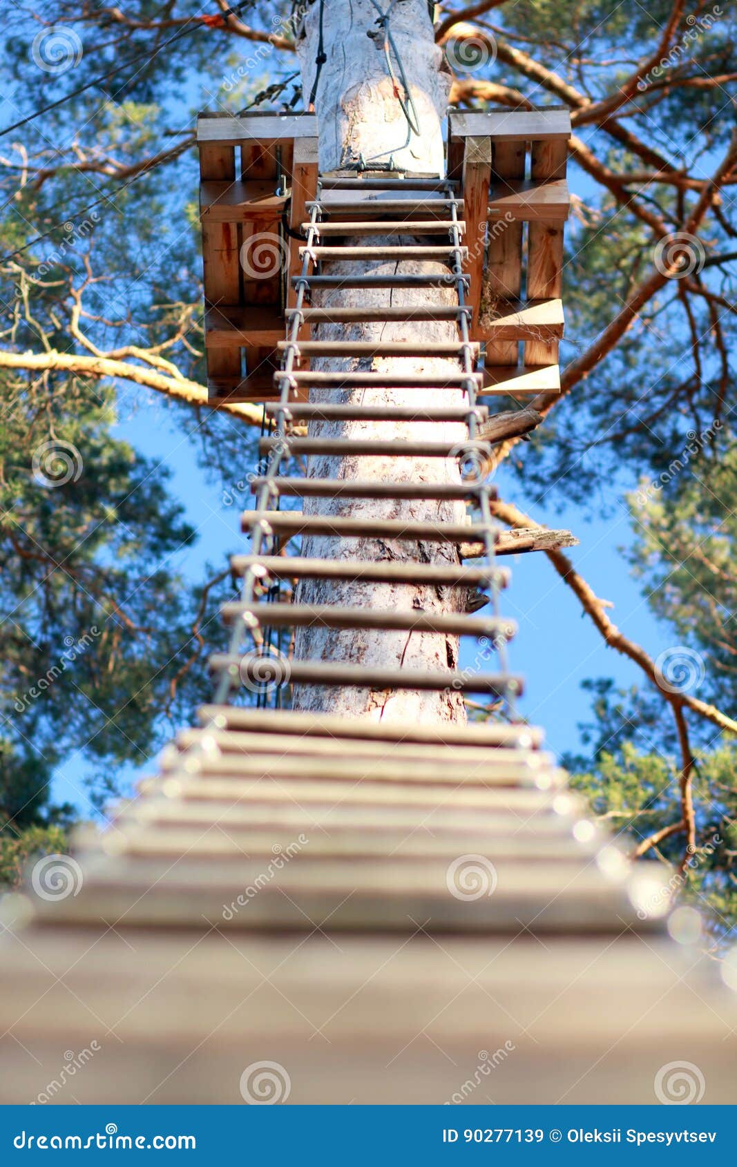 Obstacle Course in the Rope Park Stock Image - Image of obtacle, brave ...