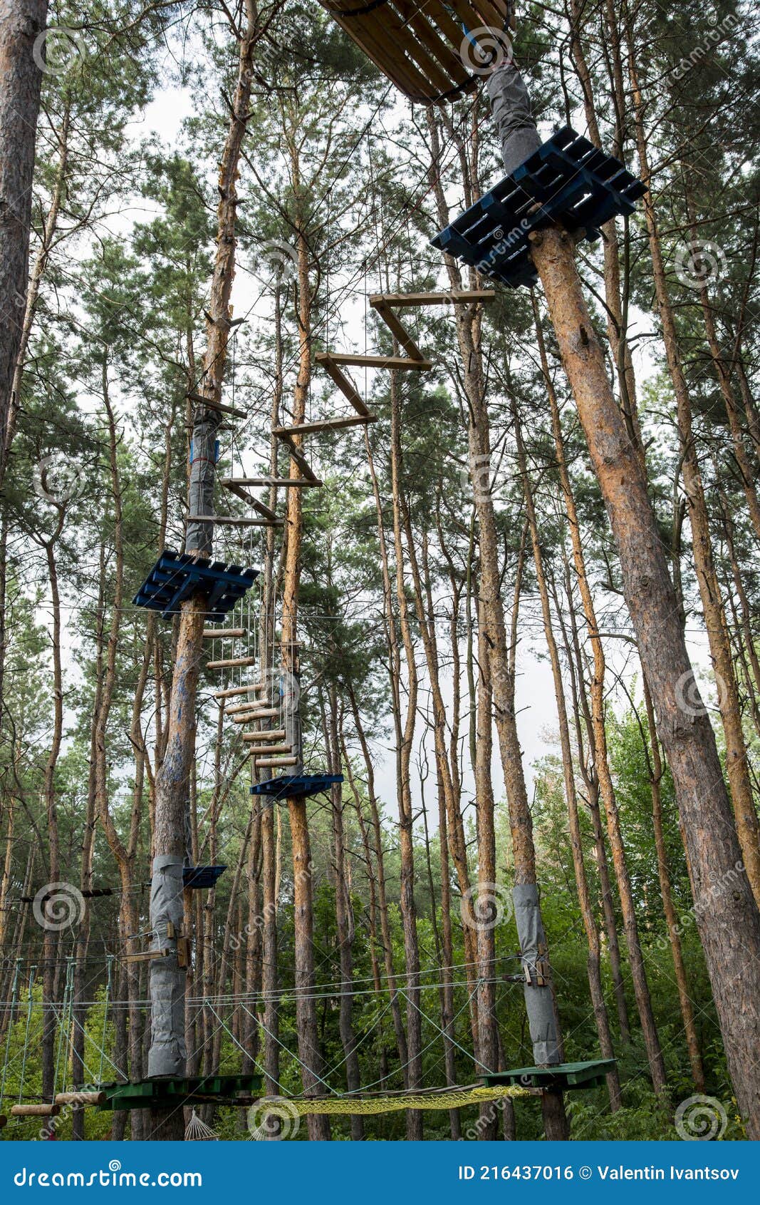 Obstacle Course, Rope Park among the Trees in the Forest Stock Photo ...
