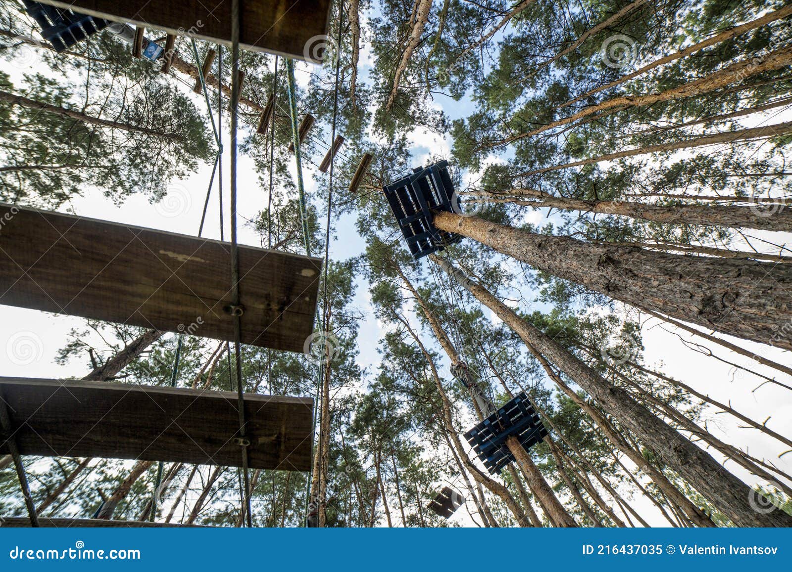 Obstacle Course, Rope Park among the Trees in the Forest Stock Image ...