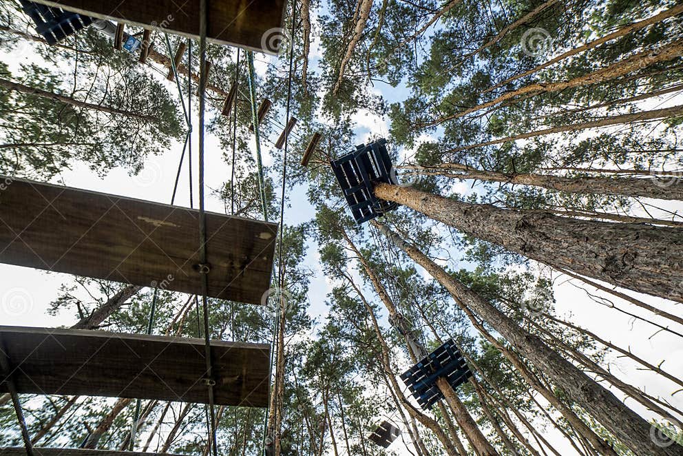 Obstacle Course, Rope Park among the Trees in the Forest Stock Image ...