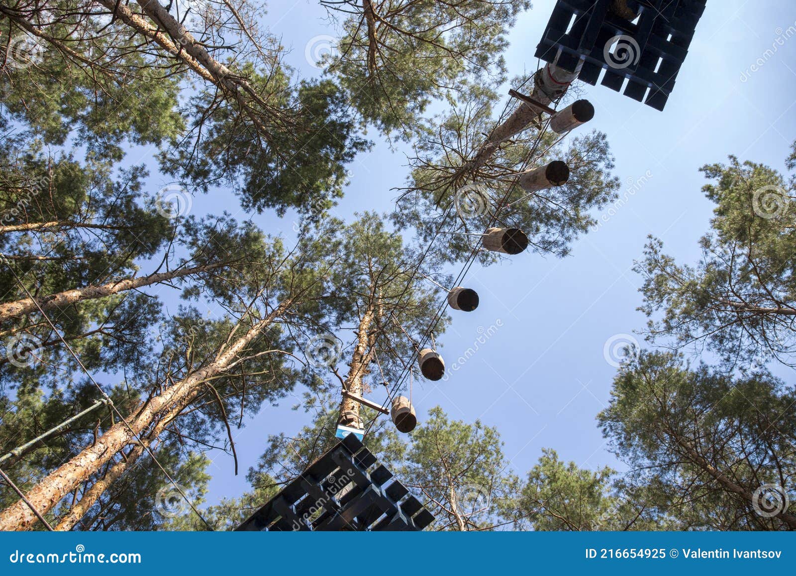 Obstacle Course, Rope Park among the Trees in the Forest Stock Image ...