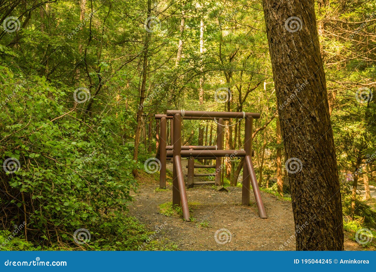 Obstacle Course Training Apparatus on Hiking Trail Stock Image - Image ...