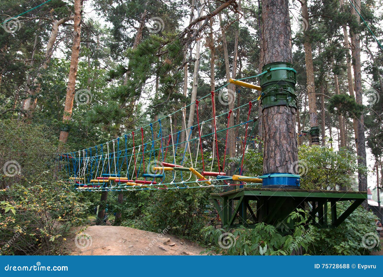 Obstacle Course on the Trees in the Park Stock Photo - Image of play ...