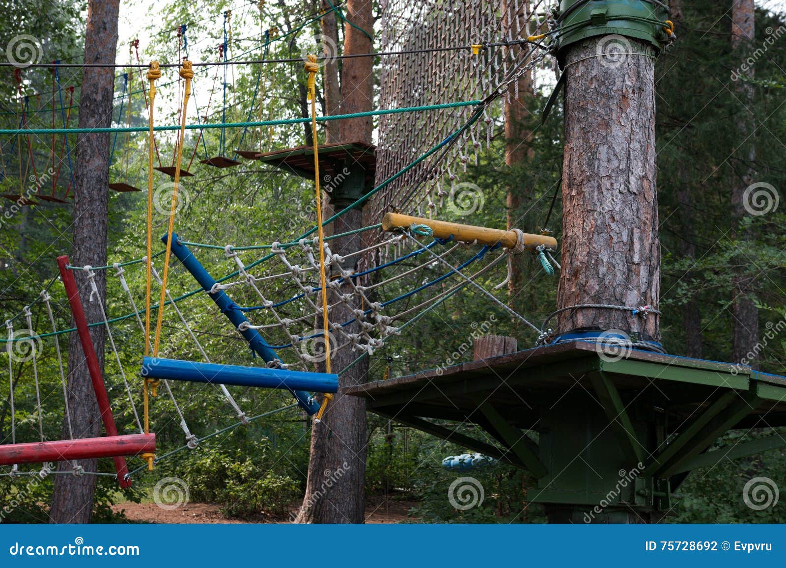 Obstacle Course in the Trees Stock Photo - Image of outdoor, sport ...
