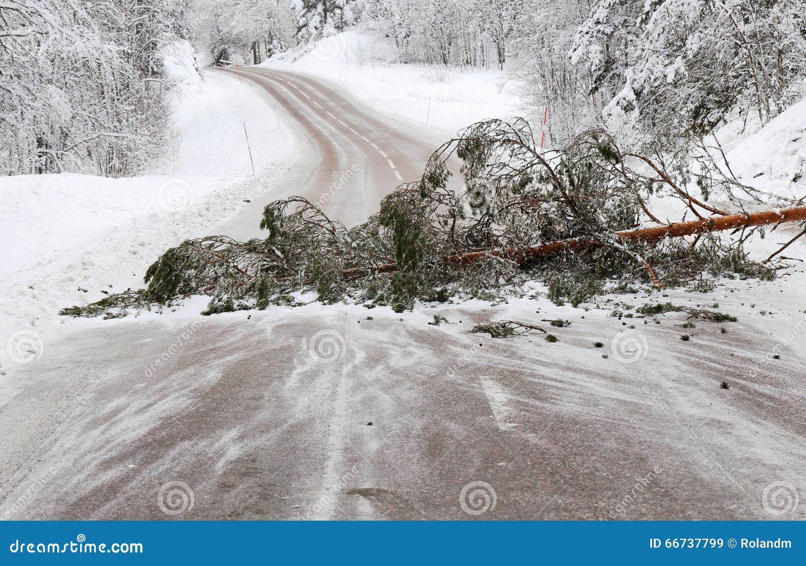 Tree Fallen On A Shed During The Storm Eunice Royalty-Free Stock ...