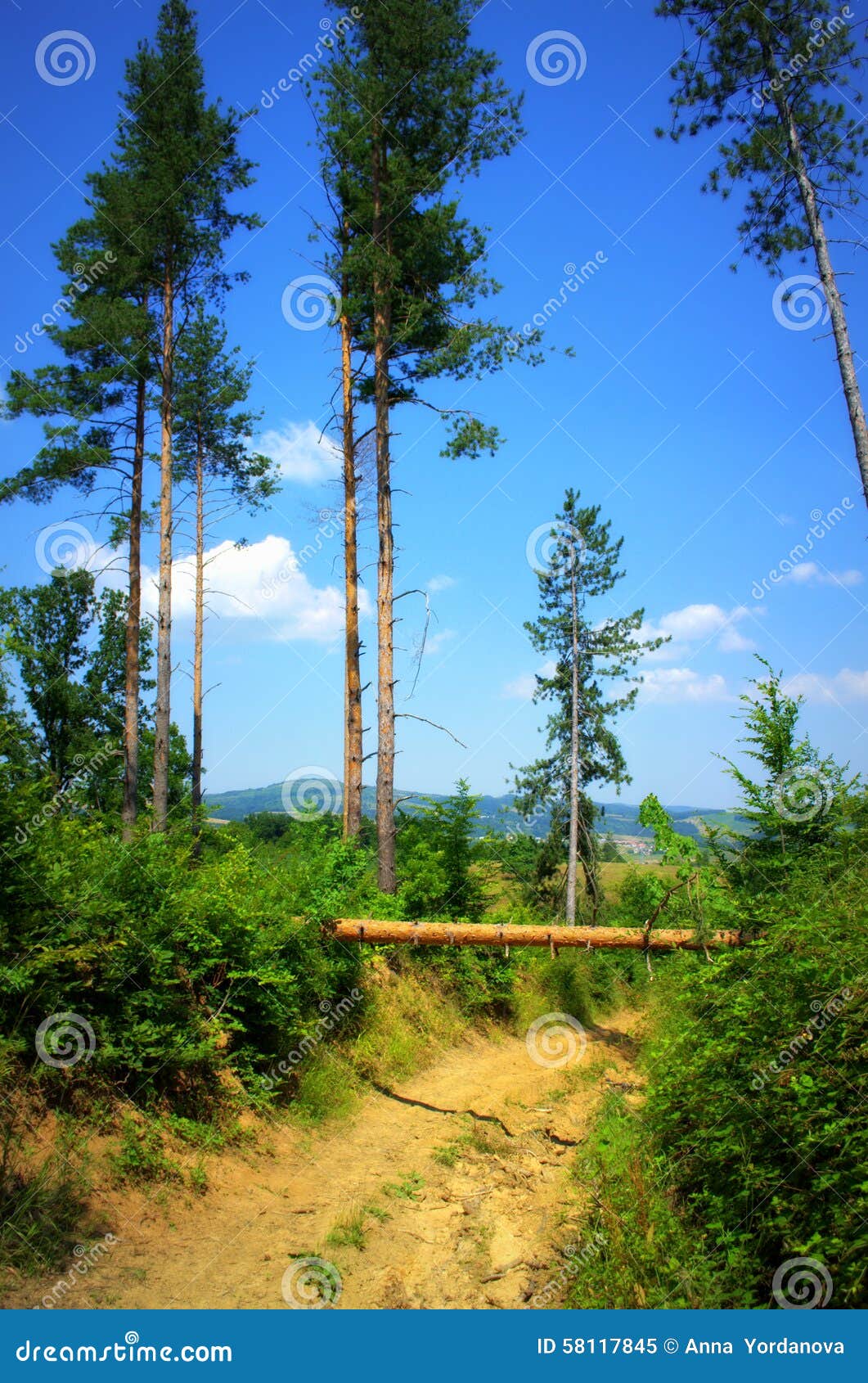 Obstacle on Mountain Pathway Stock Image - Image of light, hindrance ...