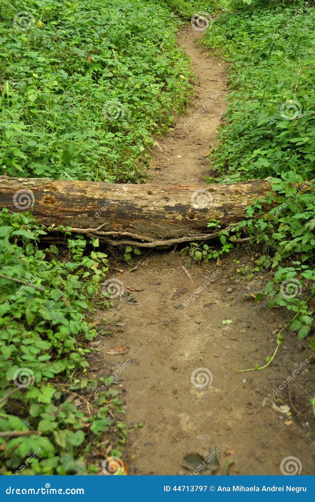 Obstacle on a path stock image. Image of direction, holiday - 44713797