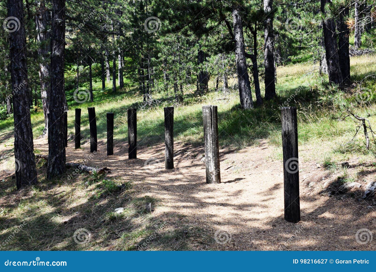 Obstacles for Crossing and Training in the Forest Stock Image - Image ...