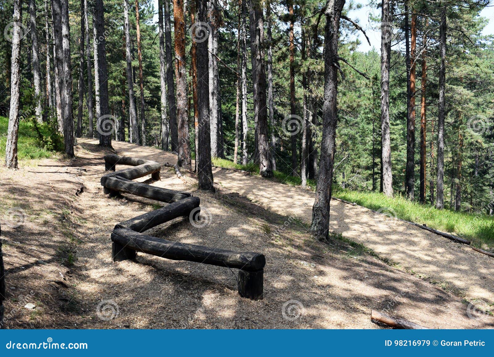 Obstacles for Crossing and Training in the Forest Stock Image - Image ...