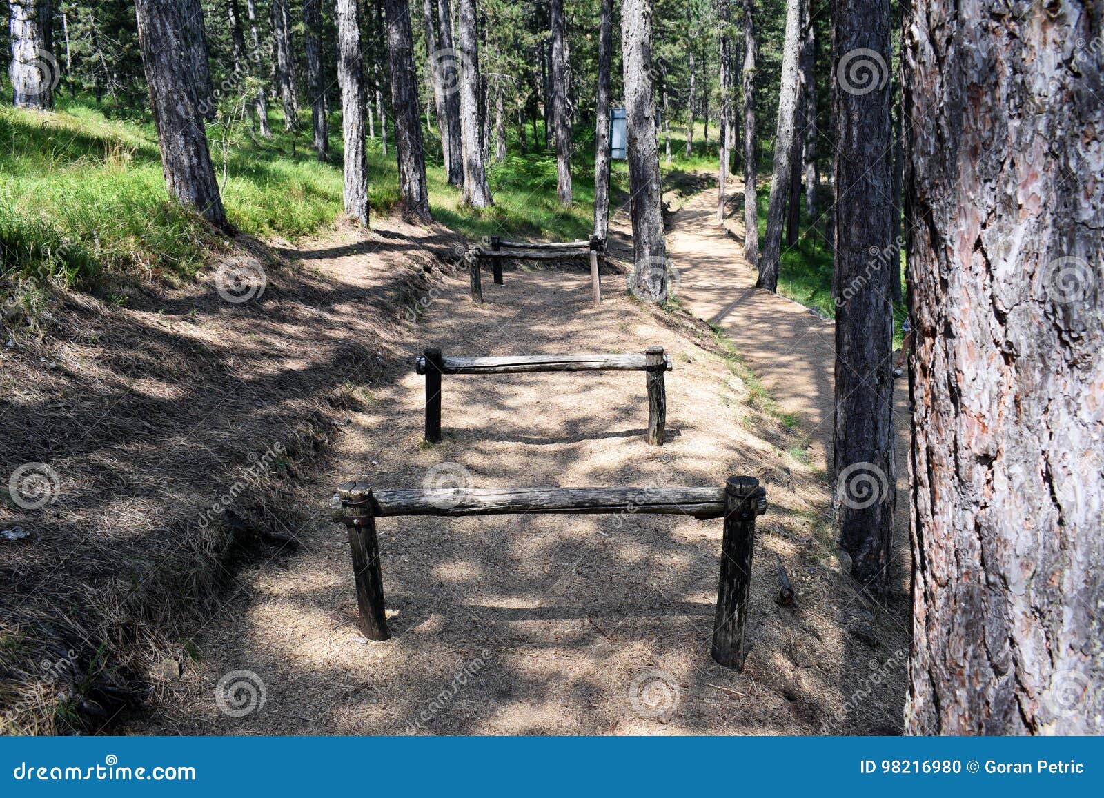 Obstacles for Crossing and Training in the Forest Stock Photo - Image ...