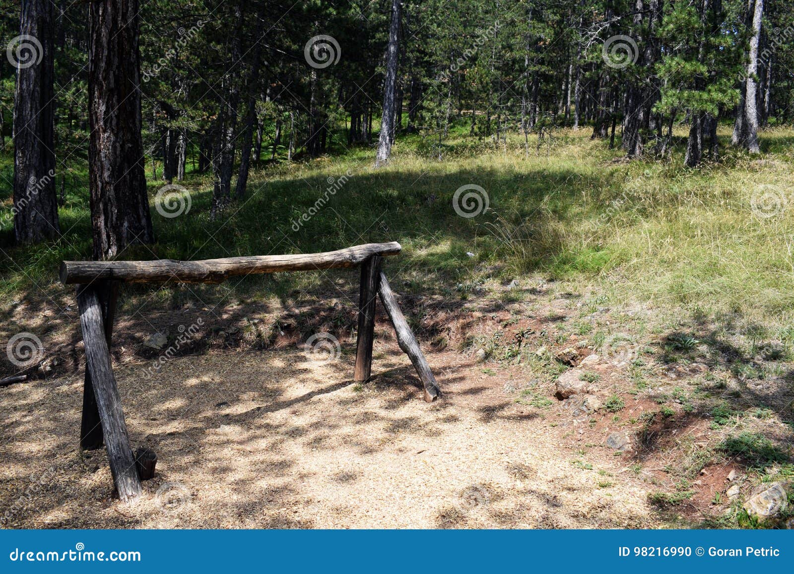 Obstacles for Crossing and Training in the Forest Stock Photo - Image ...