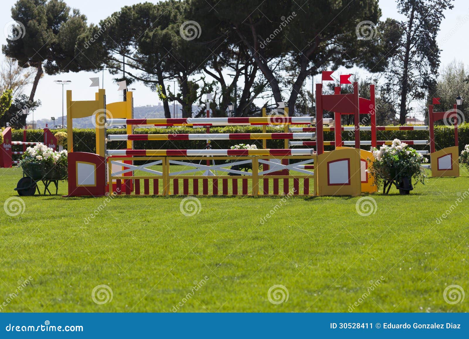 Obstacles in jumps race stock image. Image of horse, caucasian - 30528411