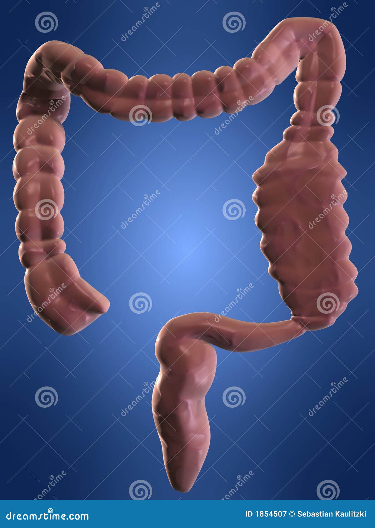 Obstipation stock illustration. Illustration of thumb - 1854507