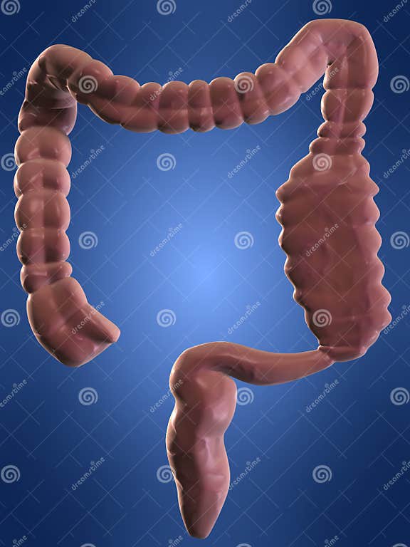 Obstipation stock de ilustración. Ilustración de boca - 1854507