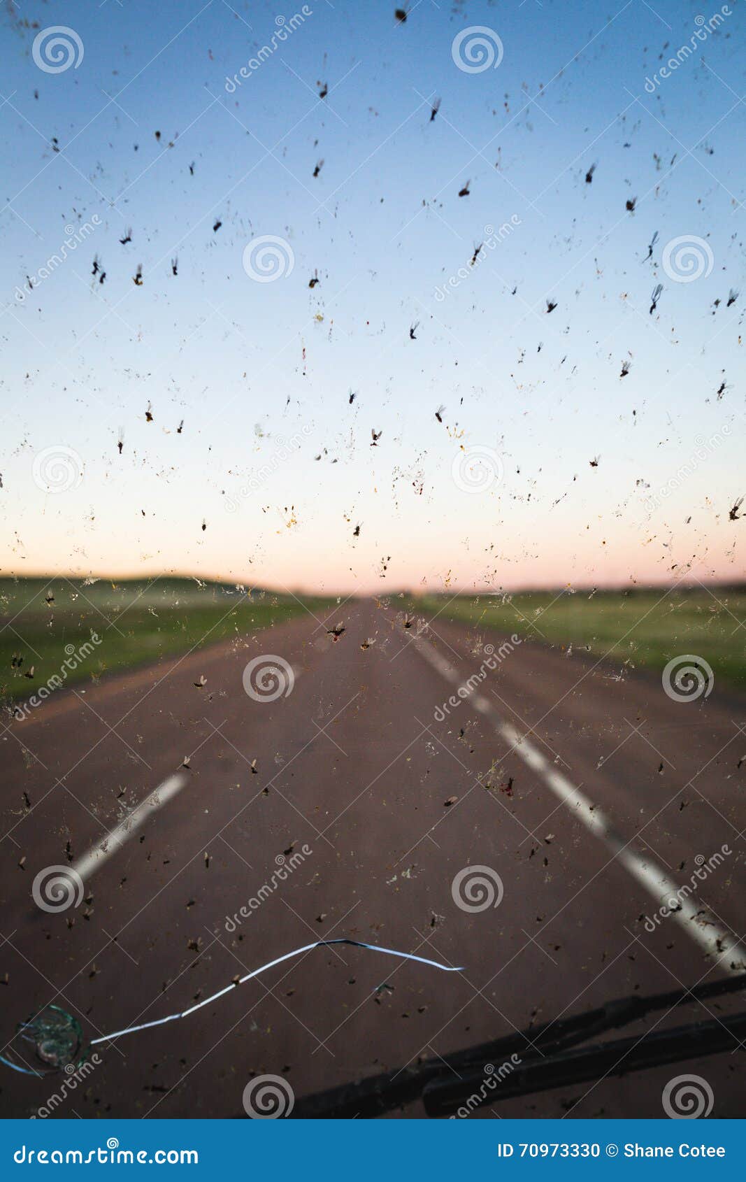Obstructed Windshield with Bugs and Cracks (vertical) Stock Photo ...