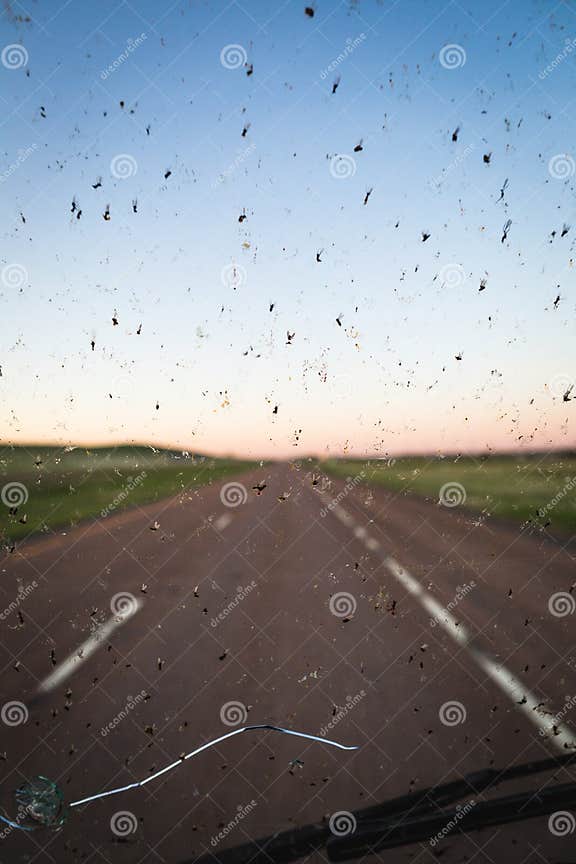 Obstructed Windshield with Bugs and Cracks (vertical) Stock Photo ...