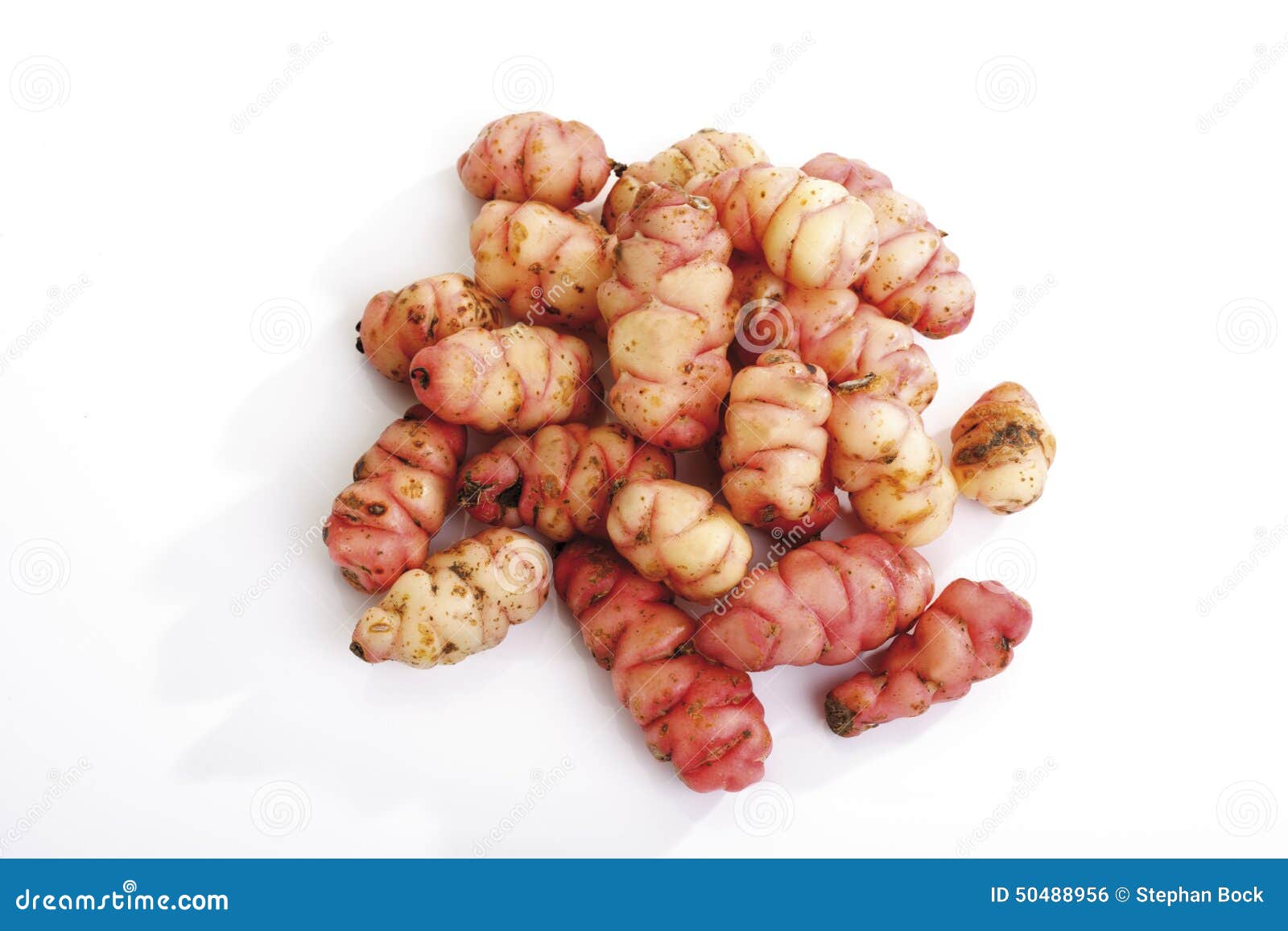 Oca-Knollen stockfoto. Bild von ernähren, gemüse, gesund - 50488956