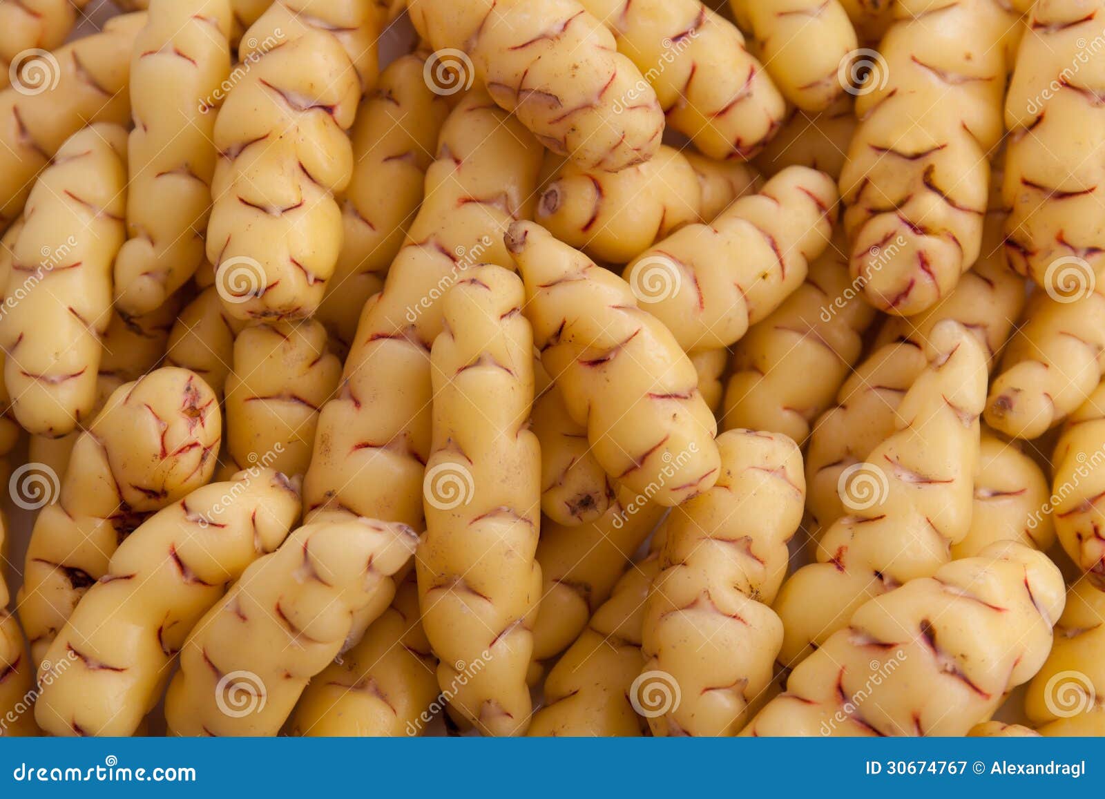 Oca - oxalis tuberosa immagine stock. Immagine di patate - 30674767