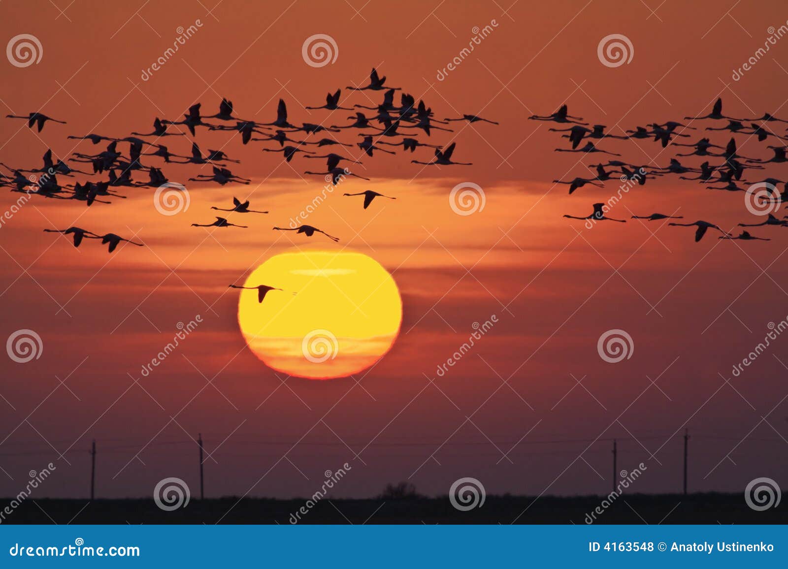 Ocaso foto de archivo. Imagen de soles, anochecer, gaviotas - 4163548