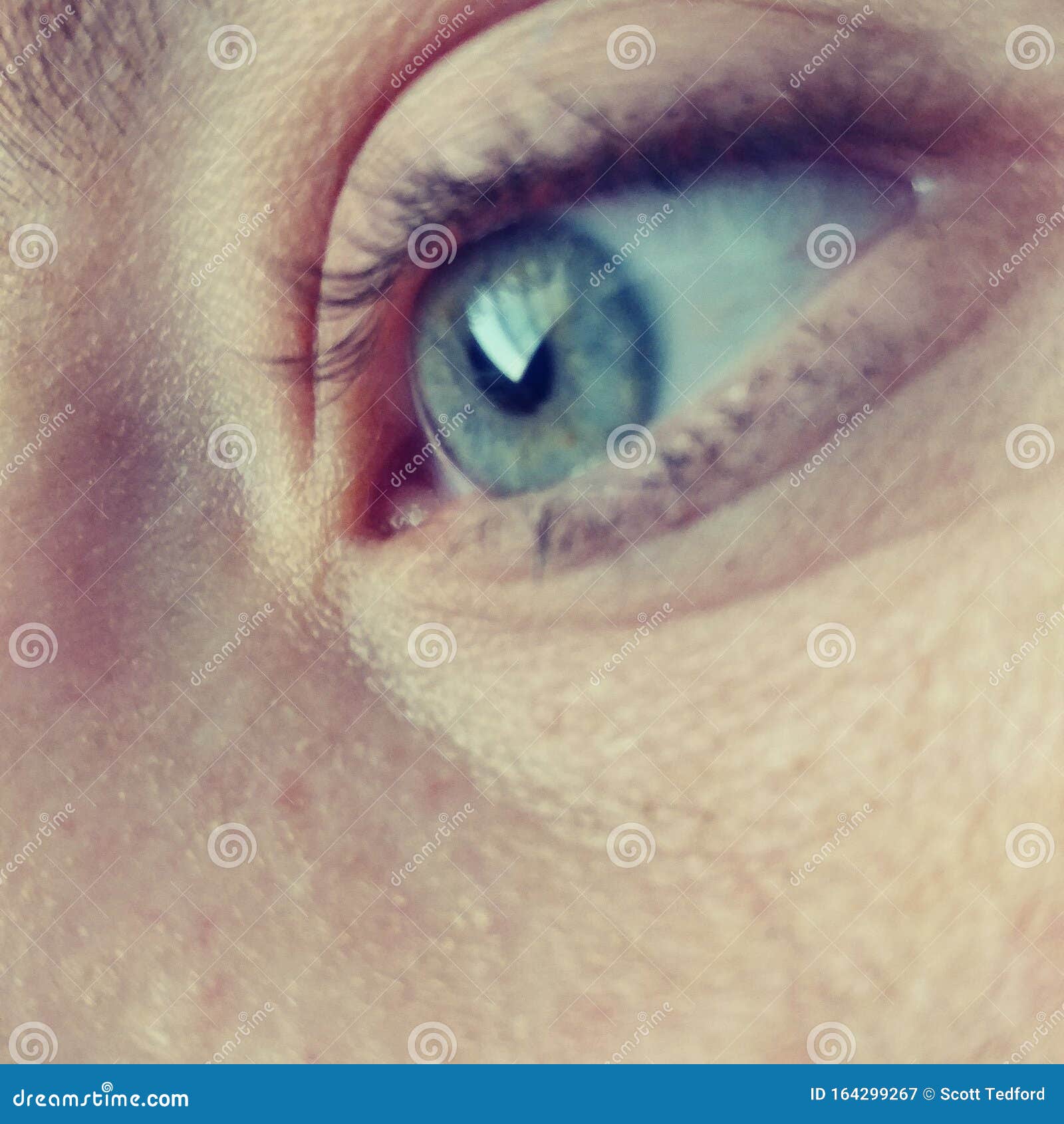 Occhi blu immagine stock. Immagine di perfezione, ragazza - 164299267