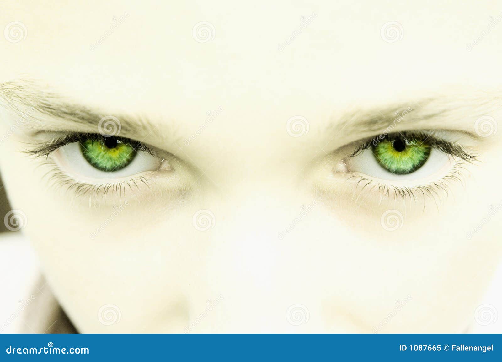 Occhi verdi immagine stock. Immagine di donne, bello, ragazza - 1087665