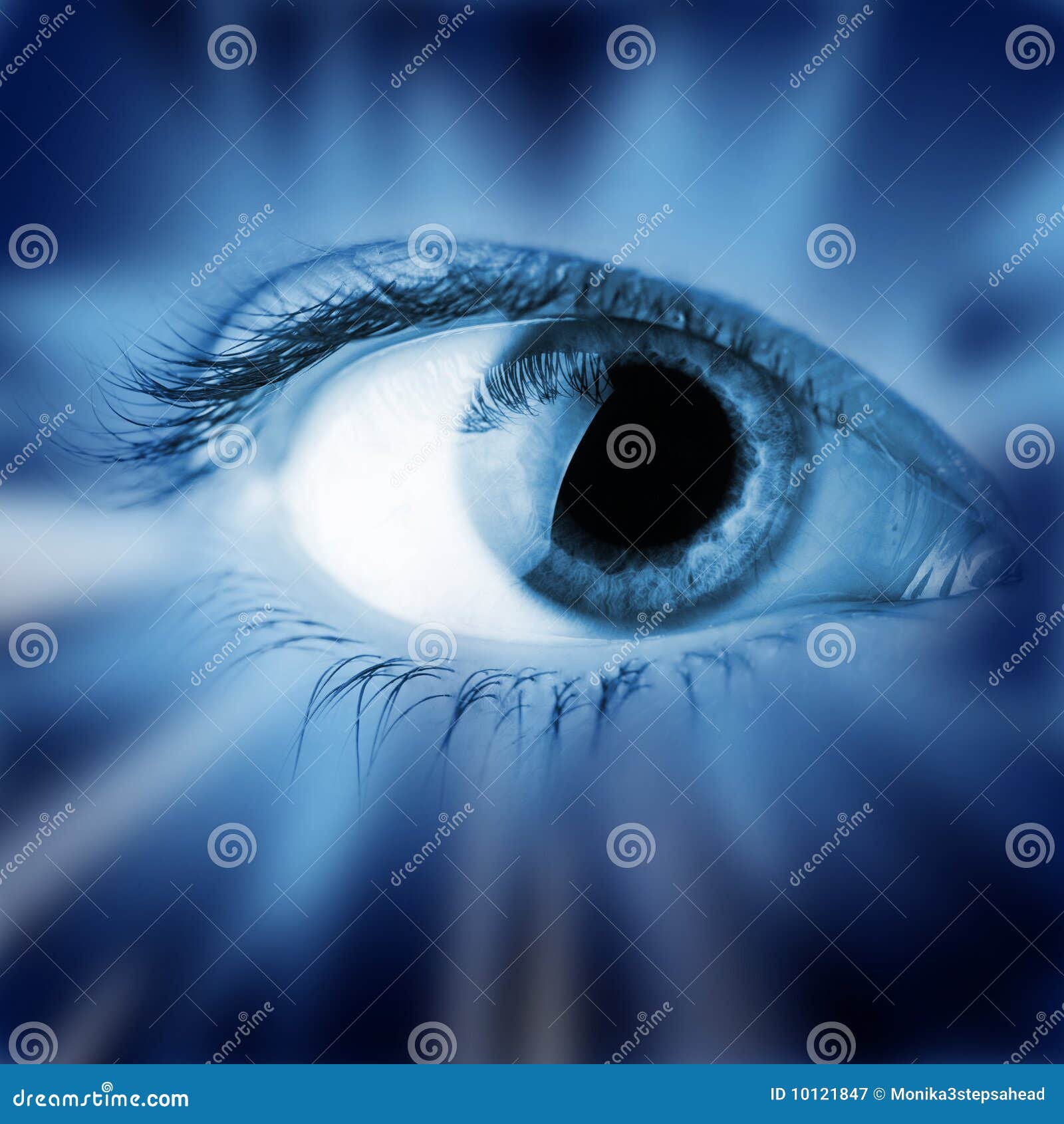 Occhio immagine stock. Immagine di anima, sfondo, occhio - 10121847