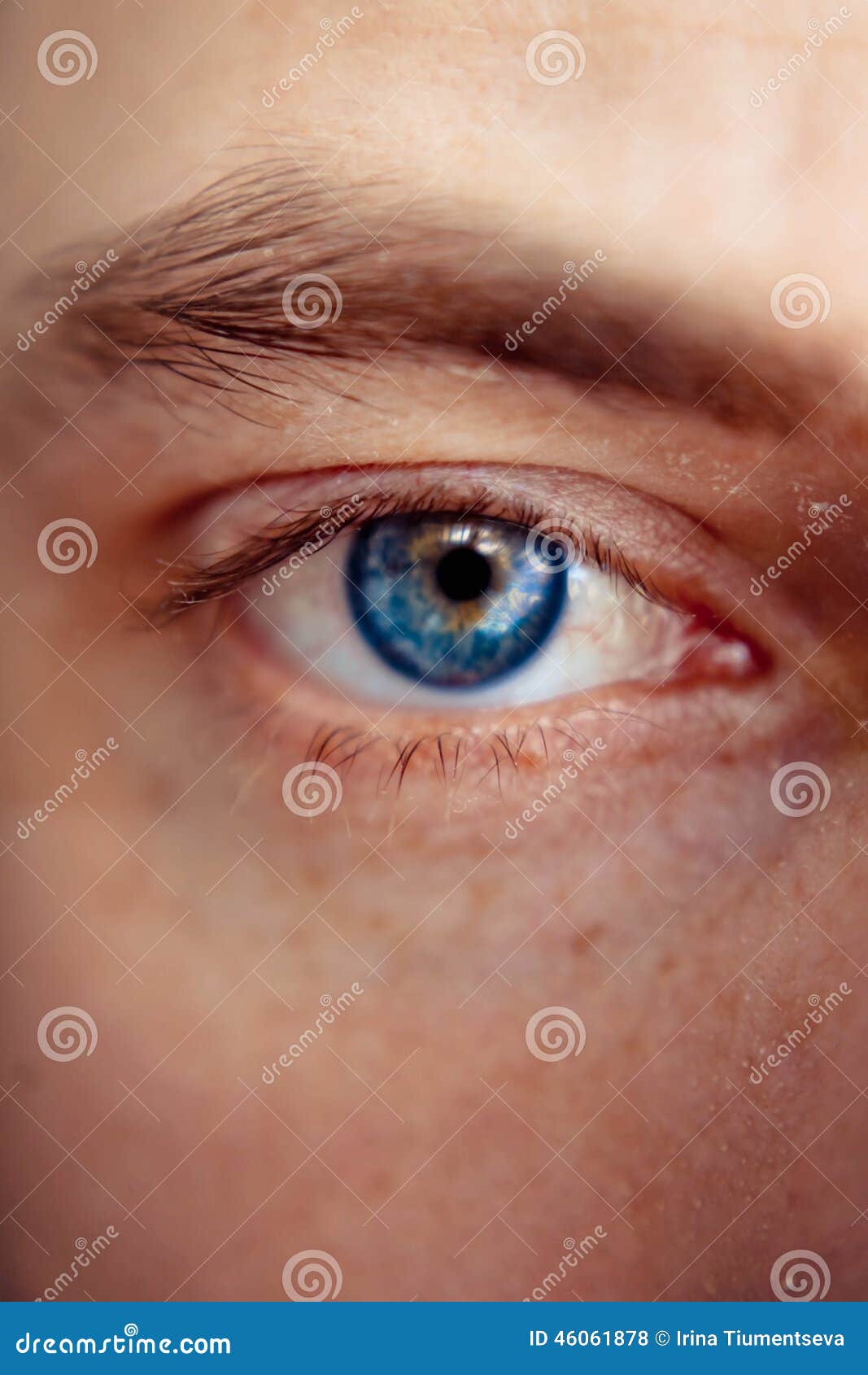 Occhio blu dell'uomo fotografia stock. Immagine di immagine - 46061878