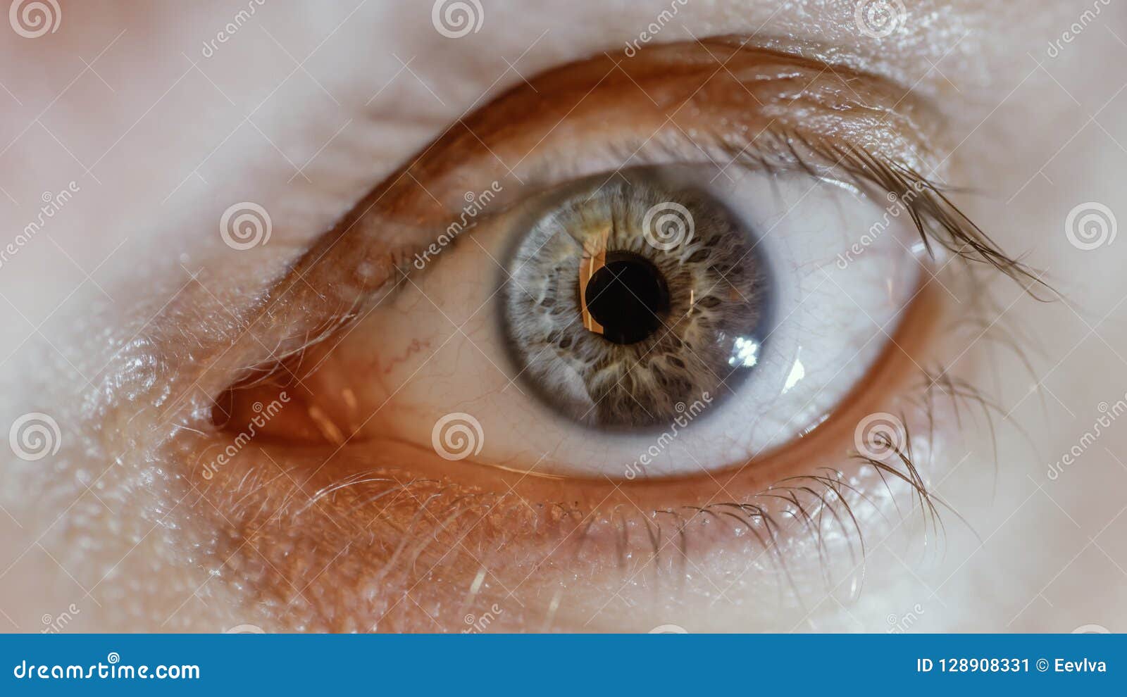 Occhio Blu Dell'uomo Con La Lente a Contatto Immagine Stock - Immagine ...