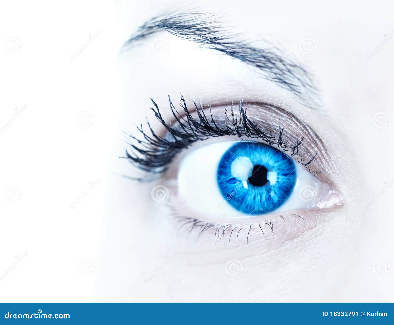 Occhio blu della donna immagine stock. Immagine di persona - 18332791