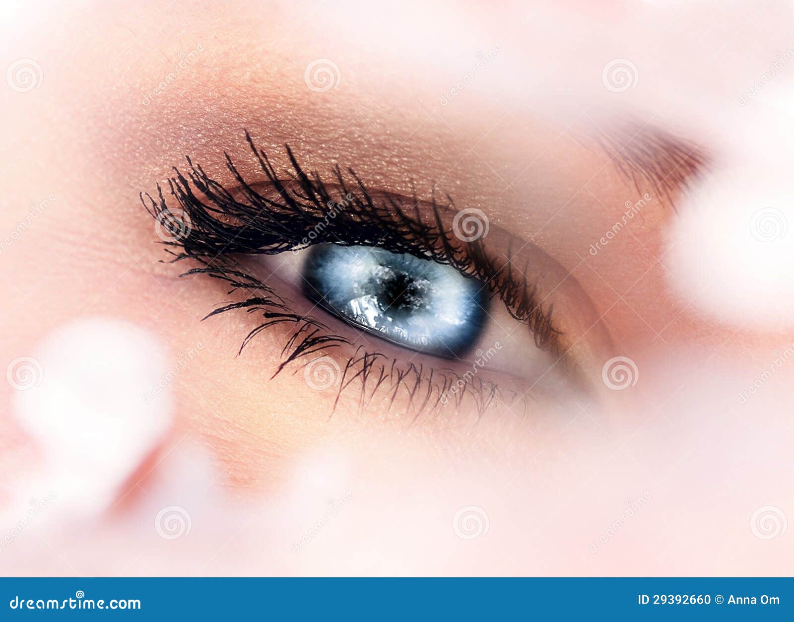 Occhio femminile blu fotografia stock. Immagine di particolare - 29392660