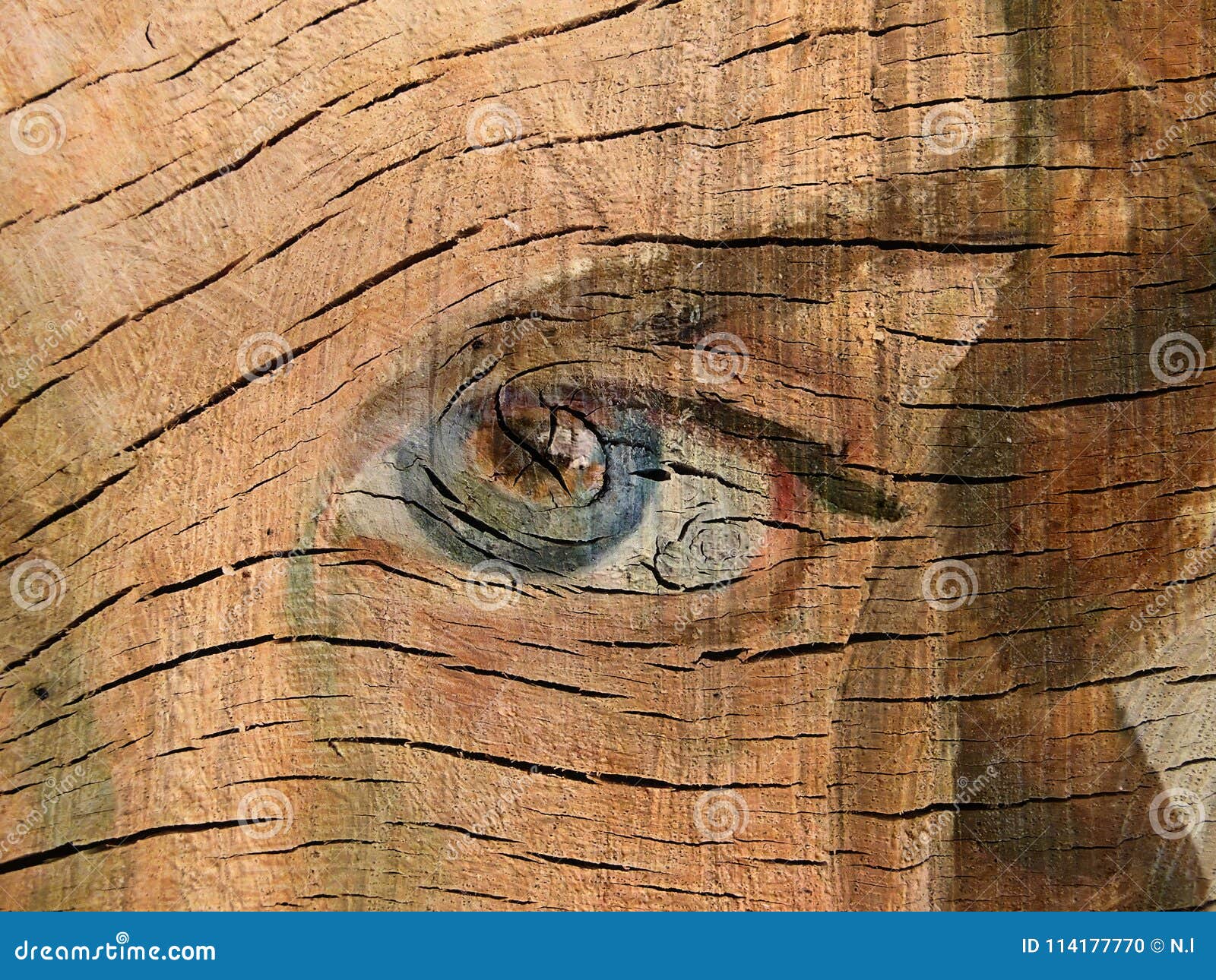 Occhio Strutturato E Dipinto Su Legno Fotografia Stock - Immagine di ...