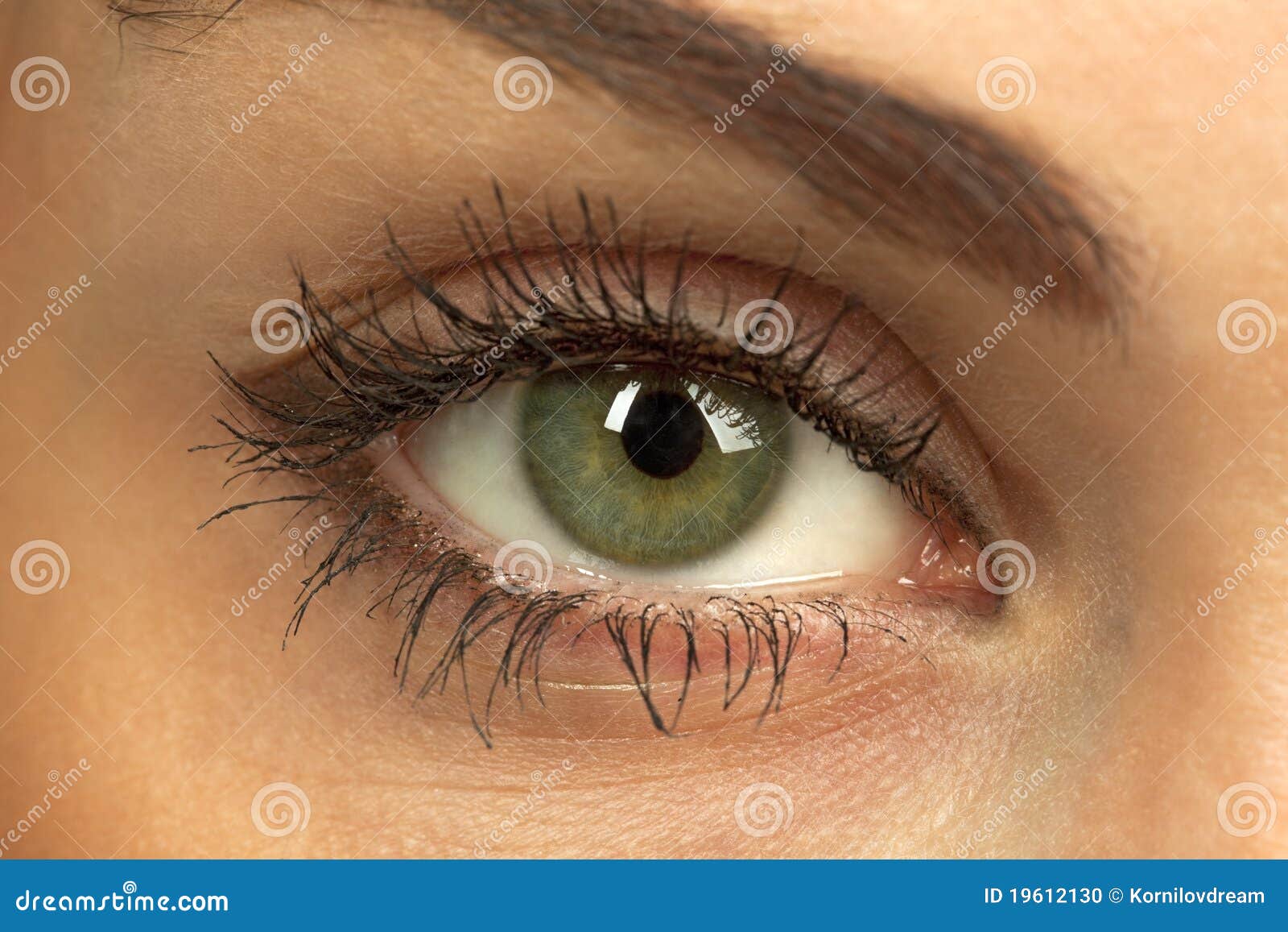 Occhio Verde Del `s Della Donna Fotografia Stock - Immagine di ...