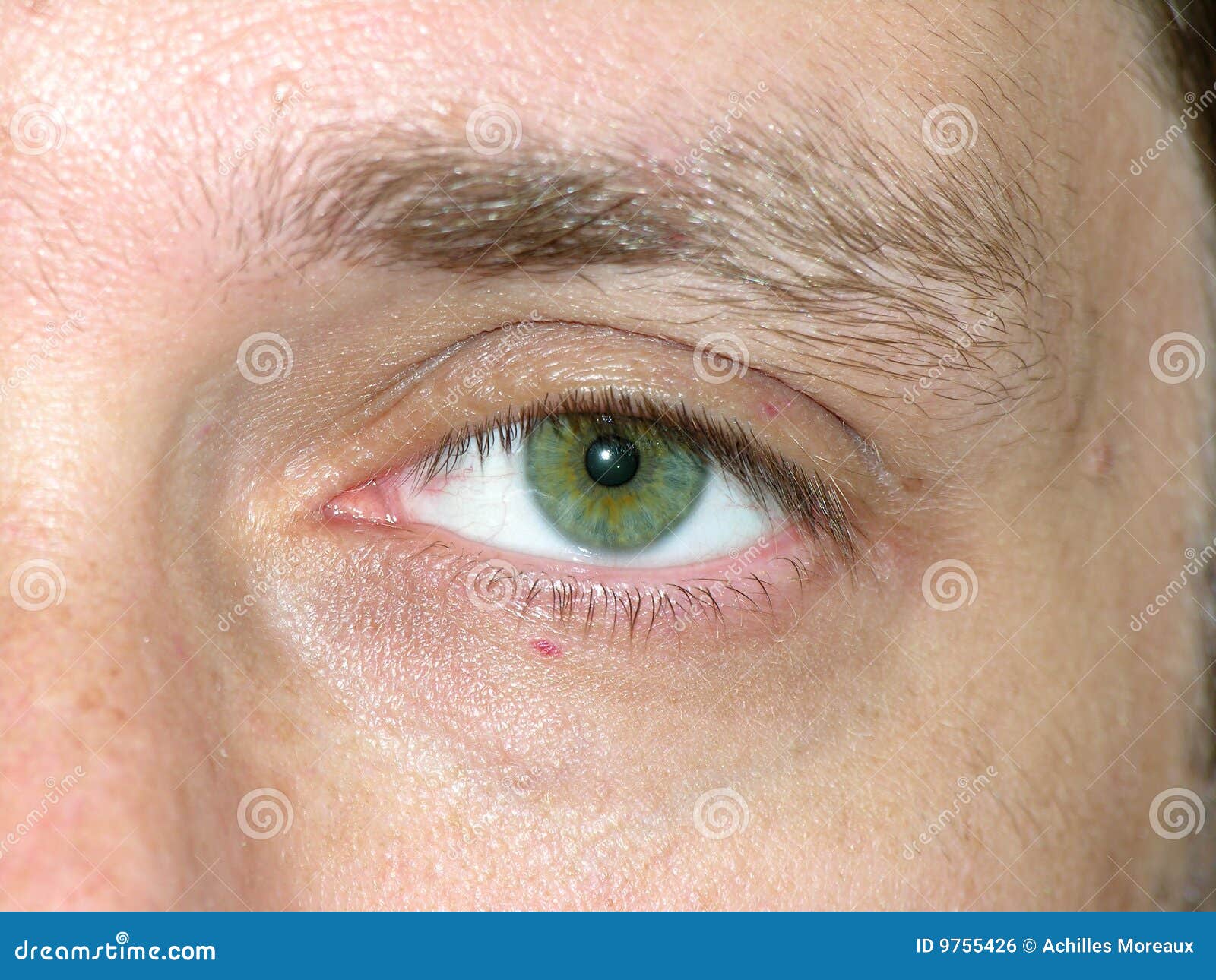 Occhio verde dell'uomo fotografia stock. Immagine di verde - 9755426