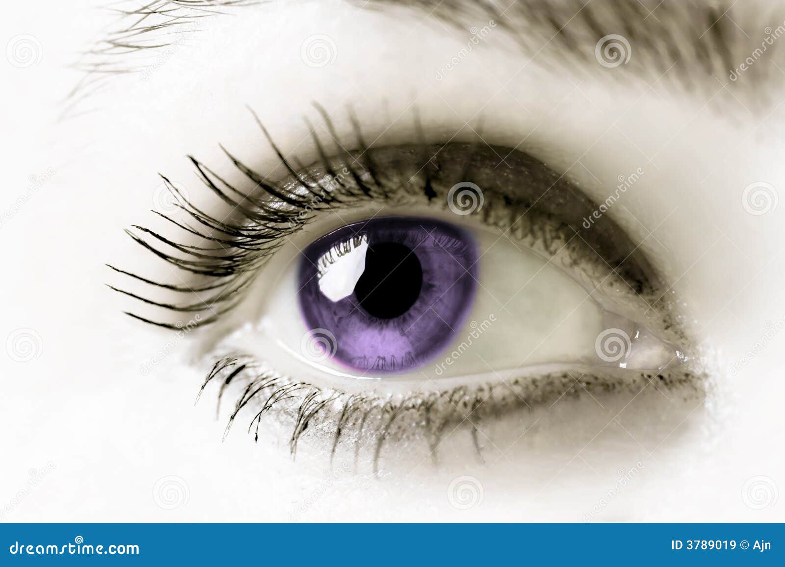 Occhio viola immagine stock. Immagine di ciglia, tasto - 3789019