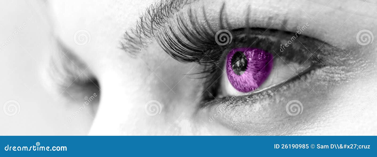 Occhio Viola - Bello, Femminile Immagine Stock - Immagine di estetiche ...